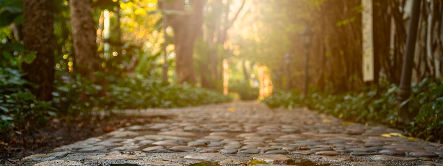 Zelros unveils the Insurance Copilot: Transforming decision support for ...