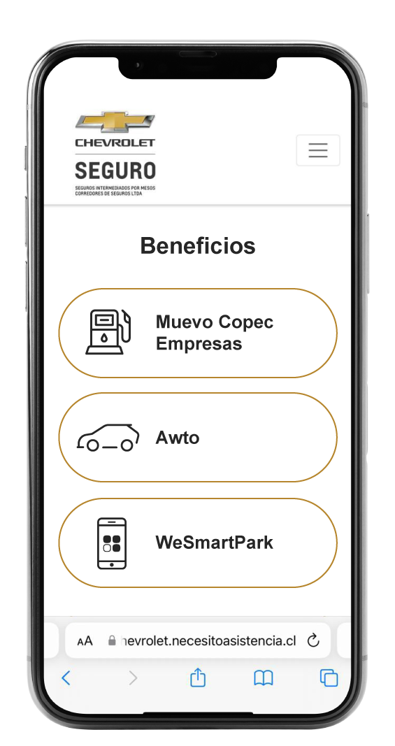 Mi Seguro Chevrolet - qorusglobal.com